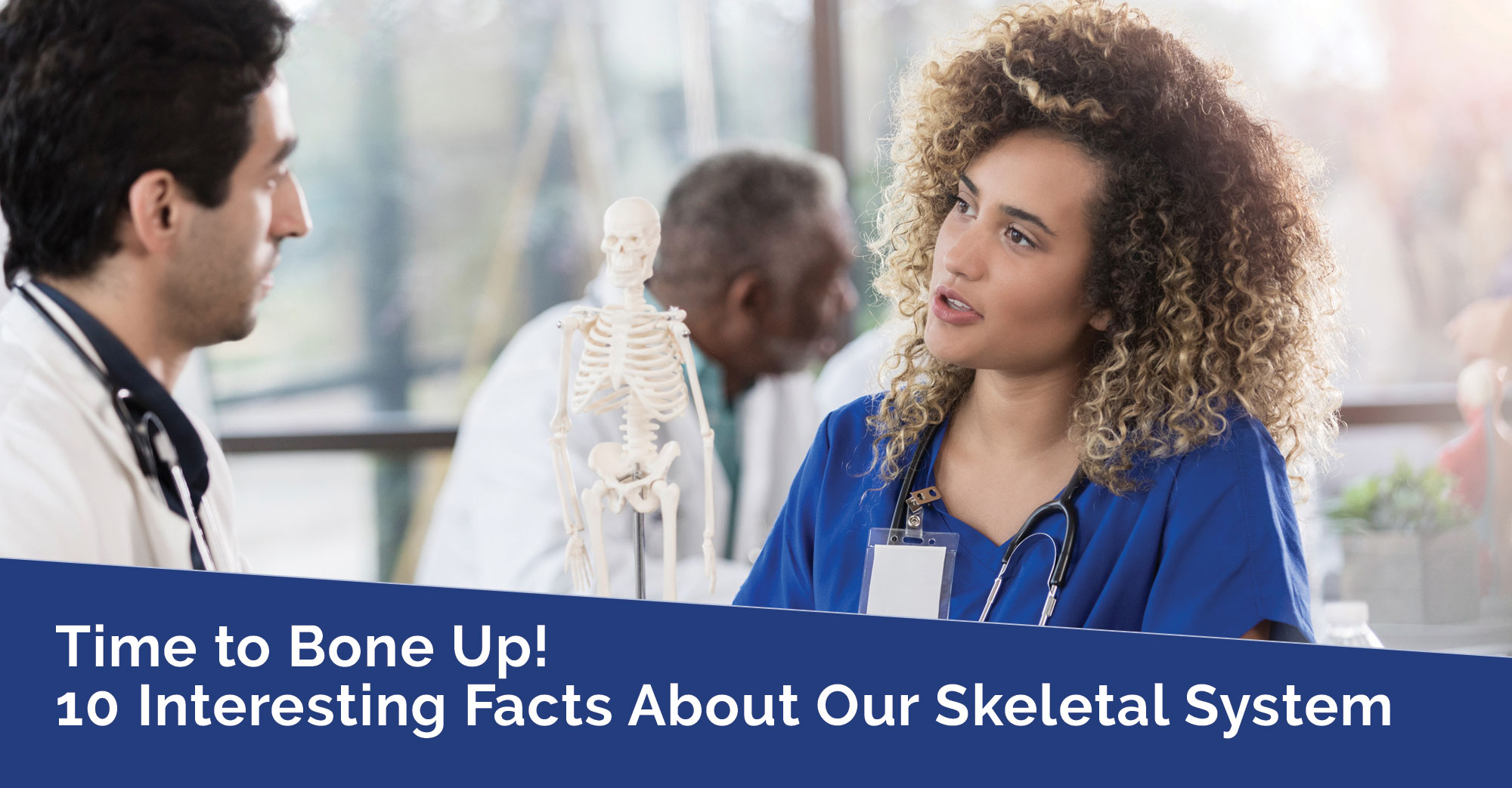 10 Interesting Bone Facts About Our Skeletal System - Physiotherapy ...